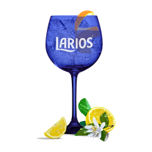 Larios Gin Tonic Mediterranean Cocktail | Larios Gin