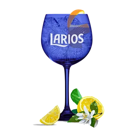 Larios Gin Tonic Mediterranean Cocktail | Larios Gin